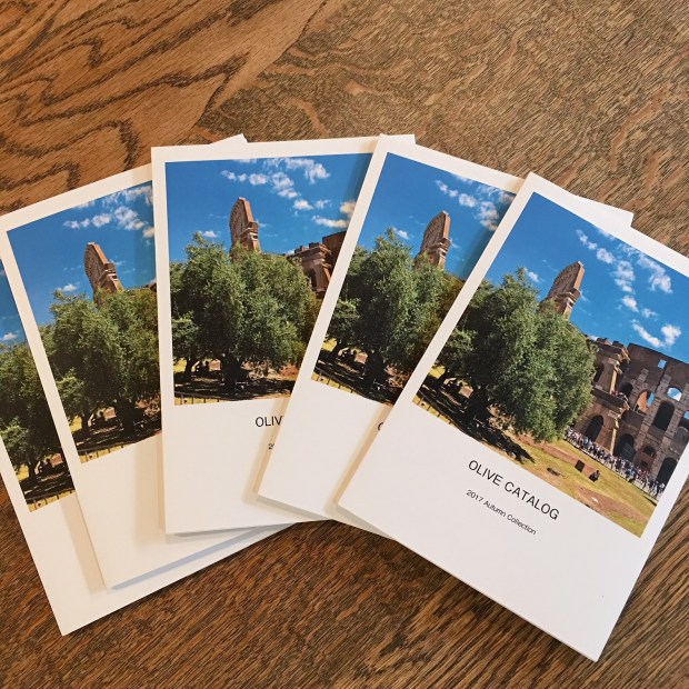 Old Olive Tree Collection – narushuuolive